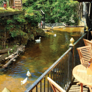 The Little Mill Inn – Countryside Dining in Rowarth